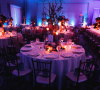 The White Swan - Wedding & Event Management